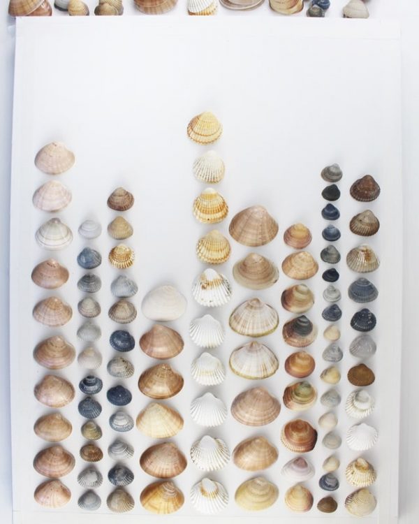 Maritime Sommerdeko: DIY Bild mit Muscheln basteln - 2 Ideen